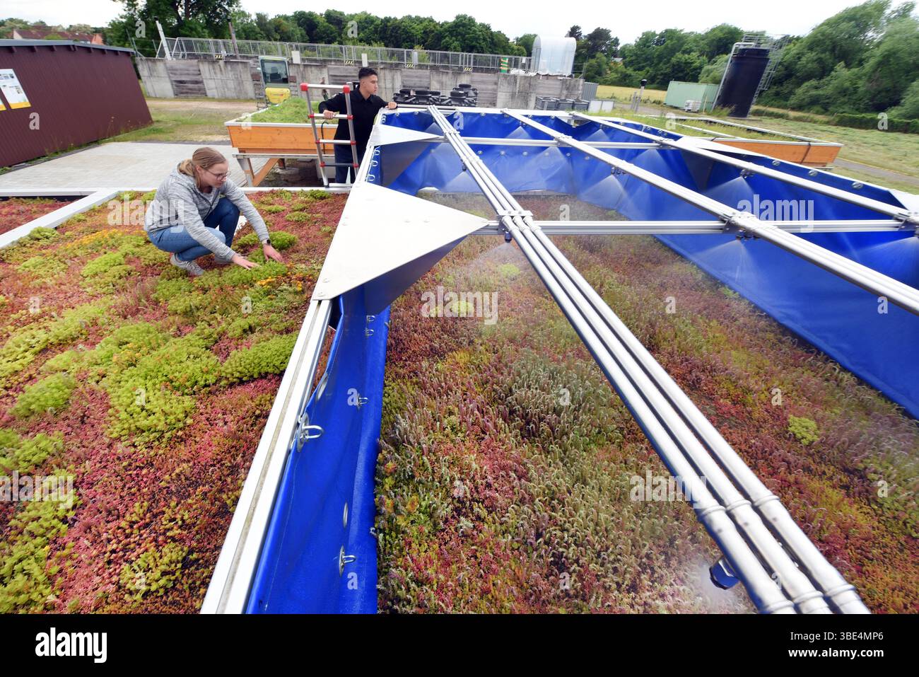 23 May 2025, Saxony, Leipzig: Andrea Bernhardt (l) from Wasserwerke ...