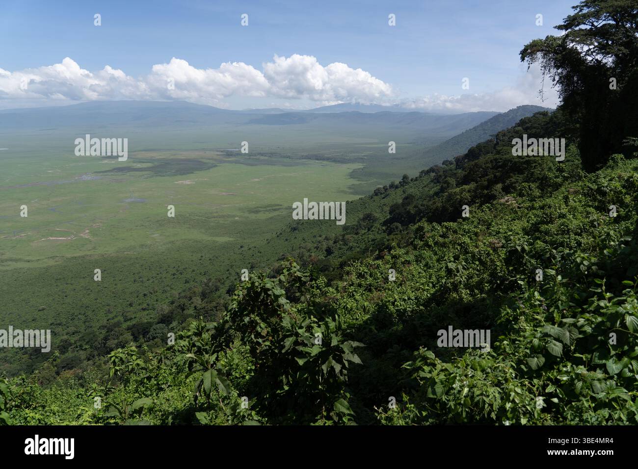 Panoramic caldera african ngorongoro hi-res stock photography and ...