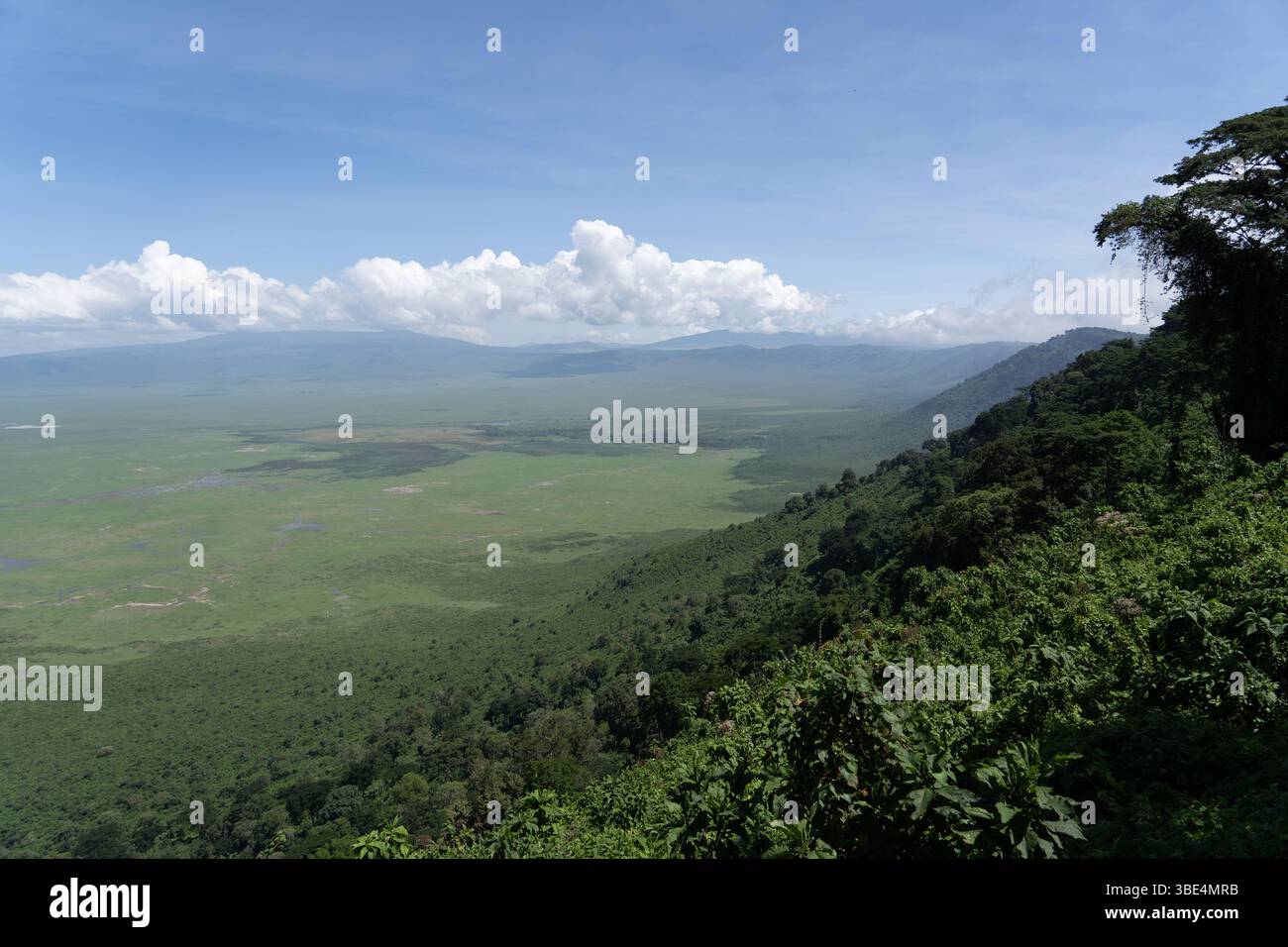 Panoramic caldera african ngorongoro hi-res stock photography and ...