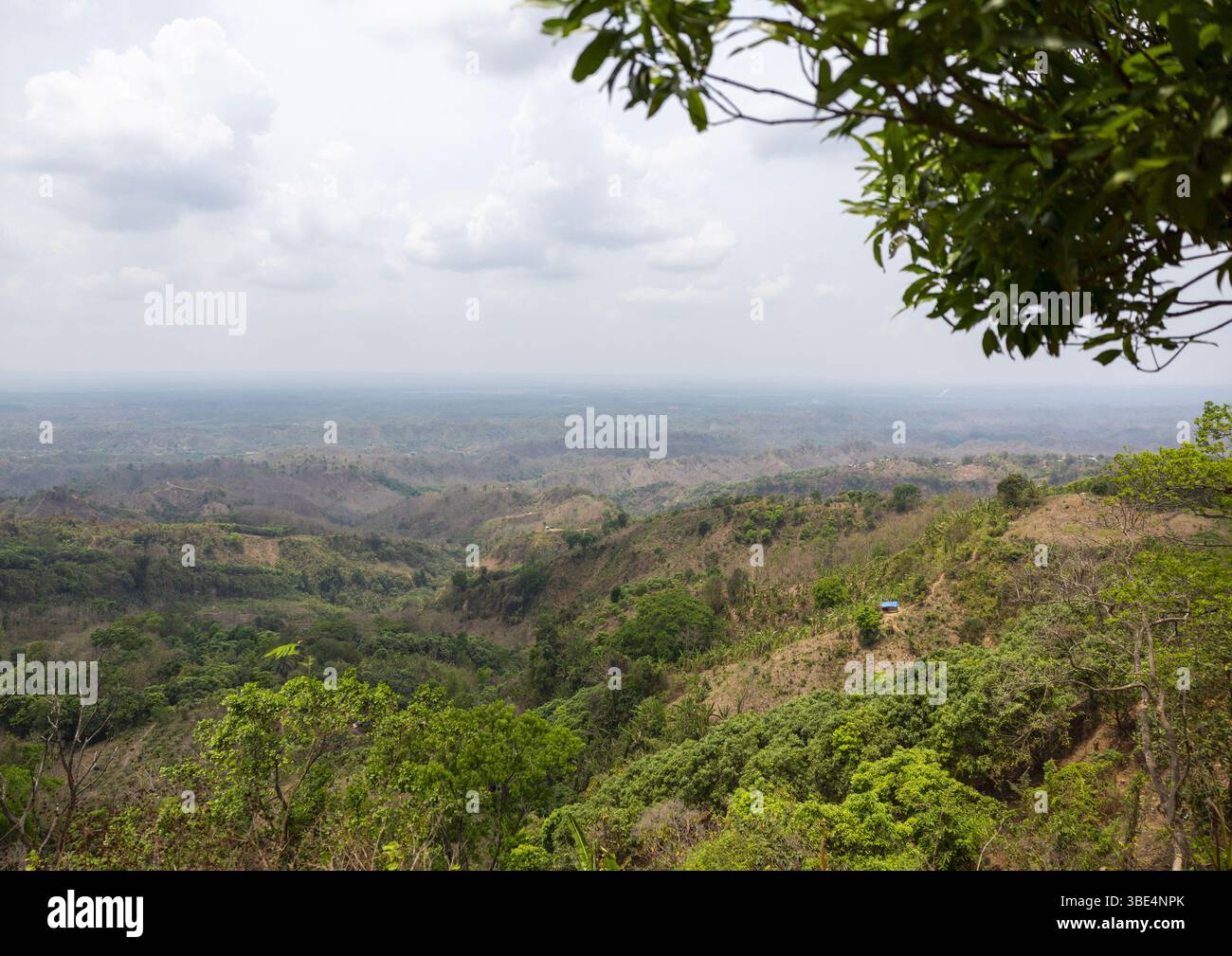 Forest landscape in the Murong tribe hills, Chittagong Division ...