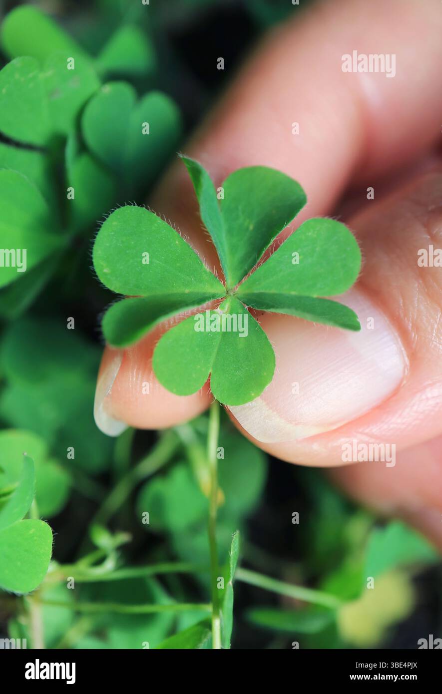 Holding a good luck sign hi-res stock photography and images - Alamy