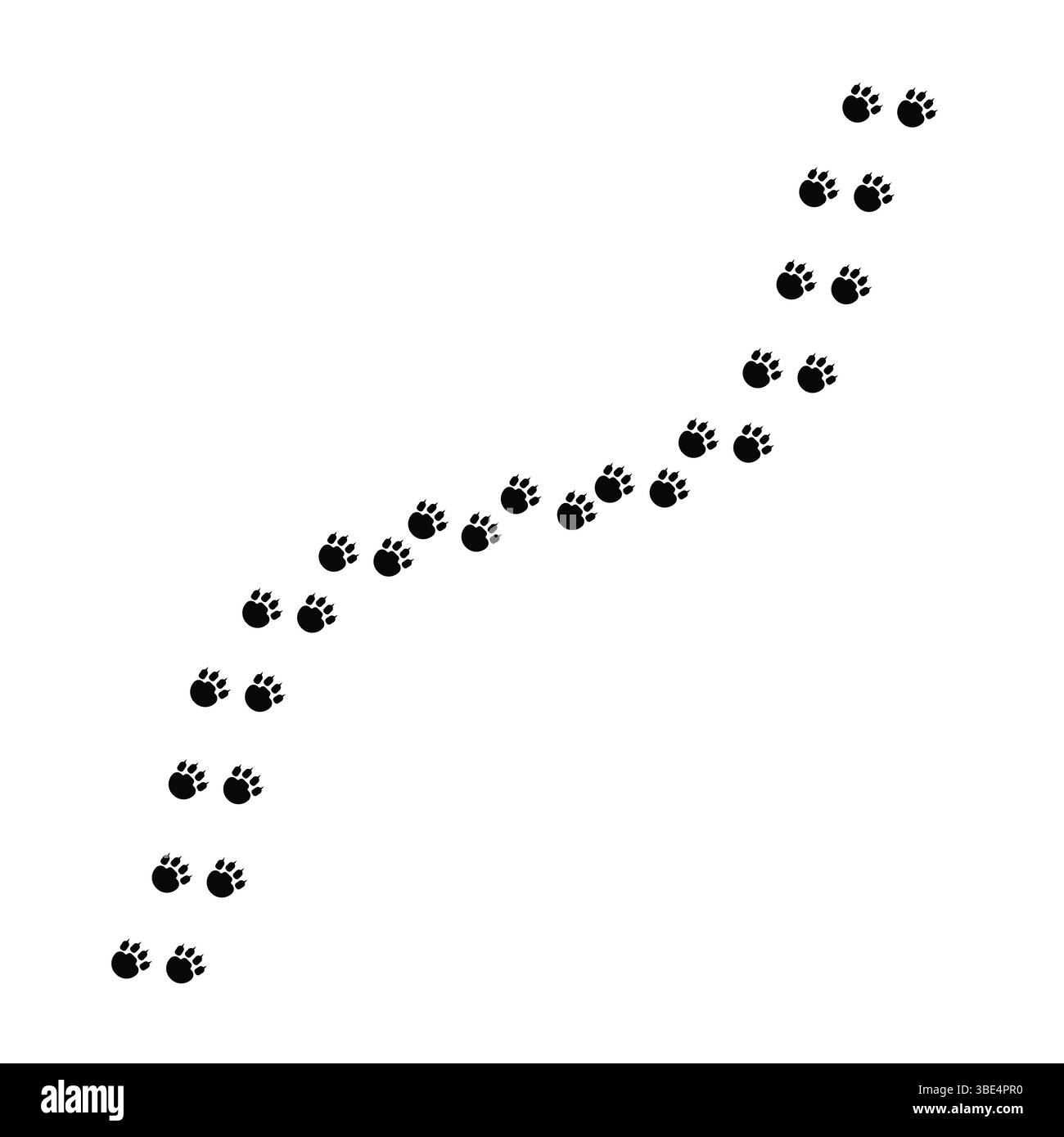 Pet journey Black and White Stock Photos & Images - Alamy