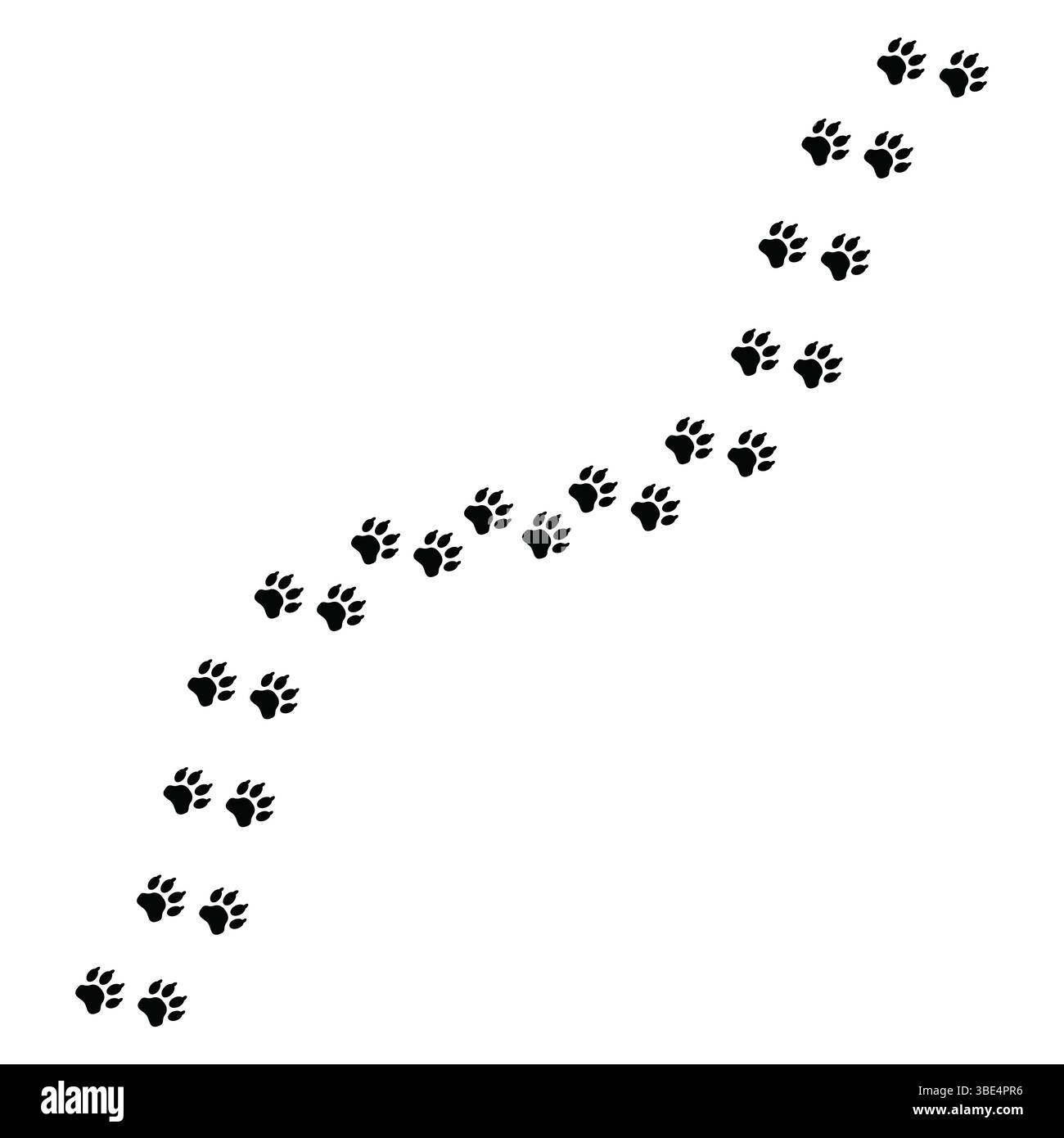 Paw Print Trail Illustration | Pet Paw Path Clipart Design Stock Vector ...