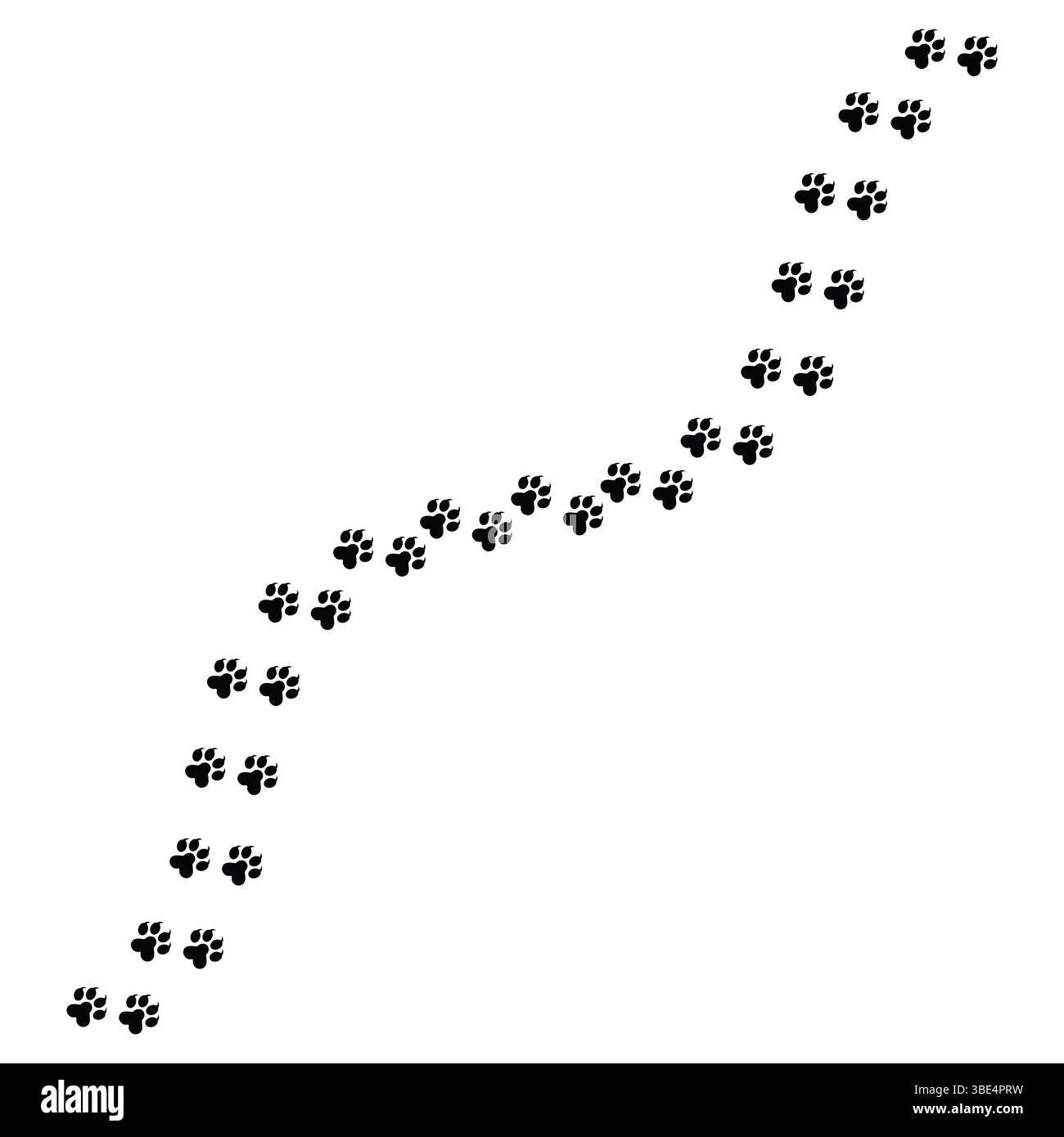 Paw Print Trail Illustration | Pet Paw Path Clipart Design Stock Vector Image & Art - Alamy
