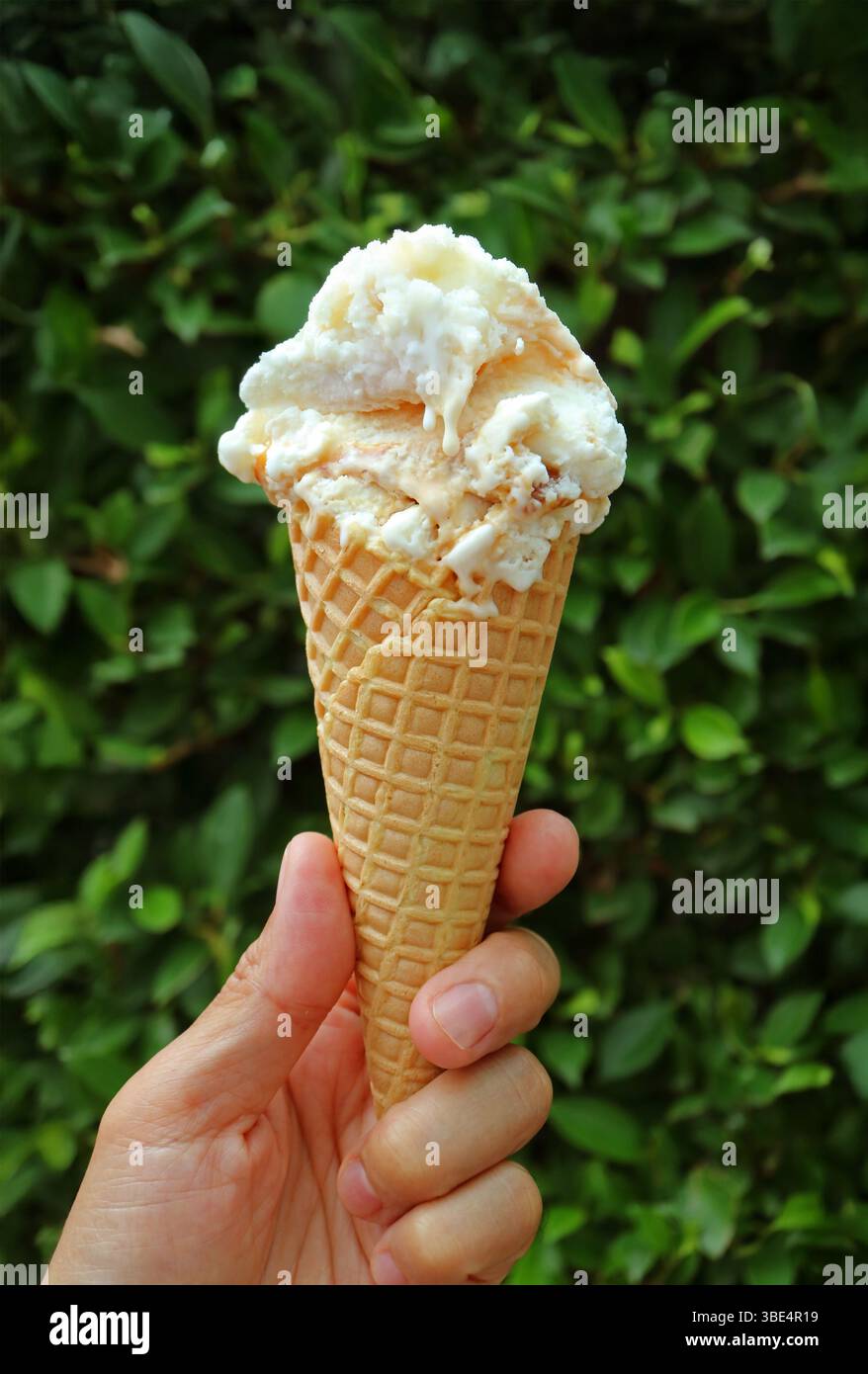 Hand Holding Delectable Salted Caramel Ice Cream Cone Stock Photo - Alamy