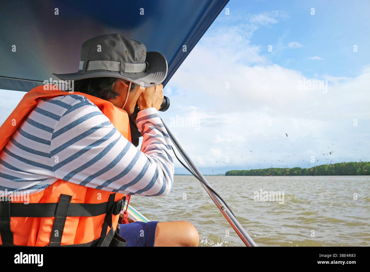 People Photographing the Brahminy Kites Called Red Hawks in Thailand at ...