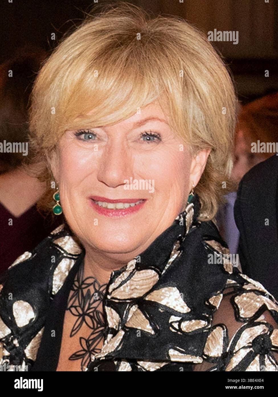 Jayne atkinson hi-res stock photography and images - Alamy