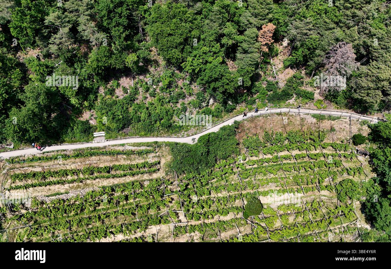 Hier der Blick auf den Algunder Waalweg bei Algund, Lagundo, Blick von ...