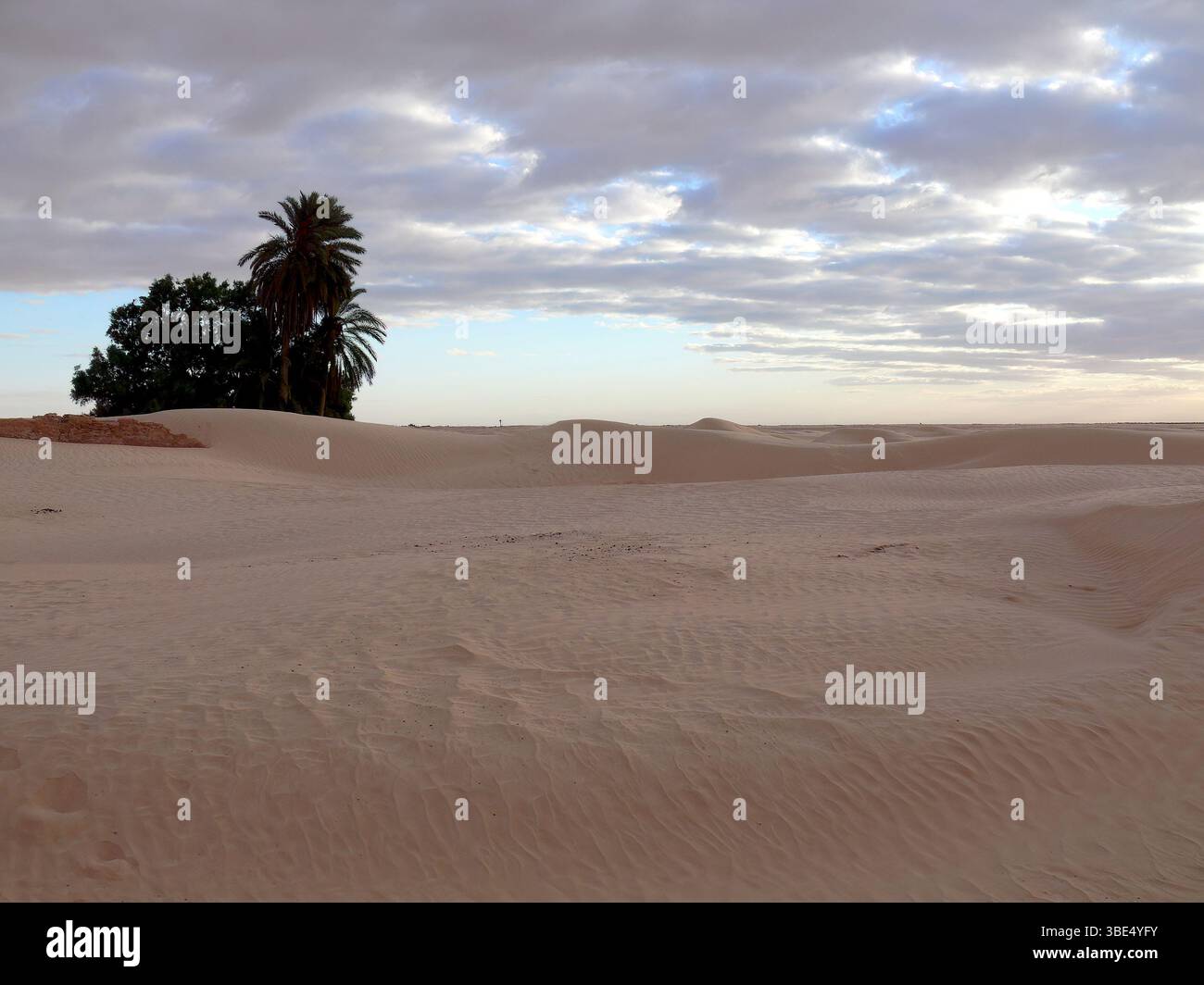 Sahara desert, Douz, Tunisia, North Africa Stock Photo - Alamy