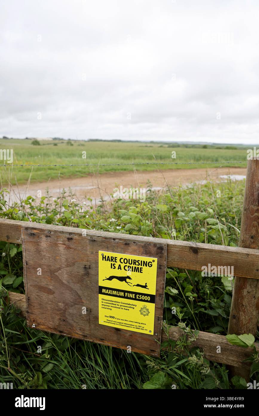 Hare Coursing Sign in the Cotswolds - 27 May 2025 Picture by Antony ...