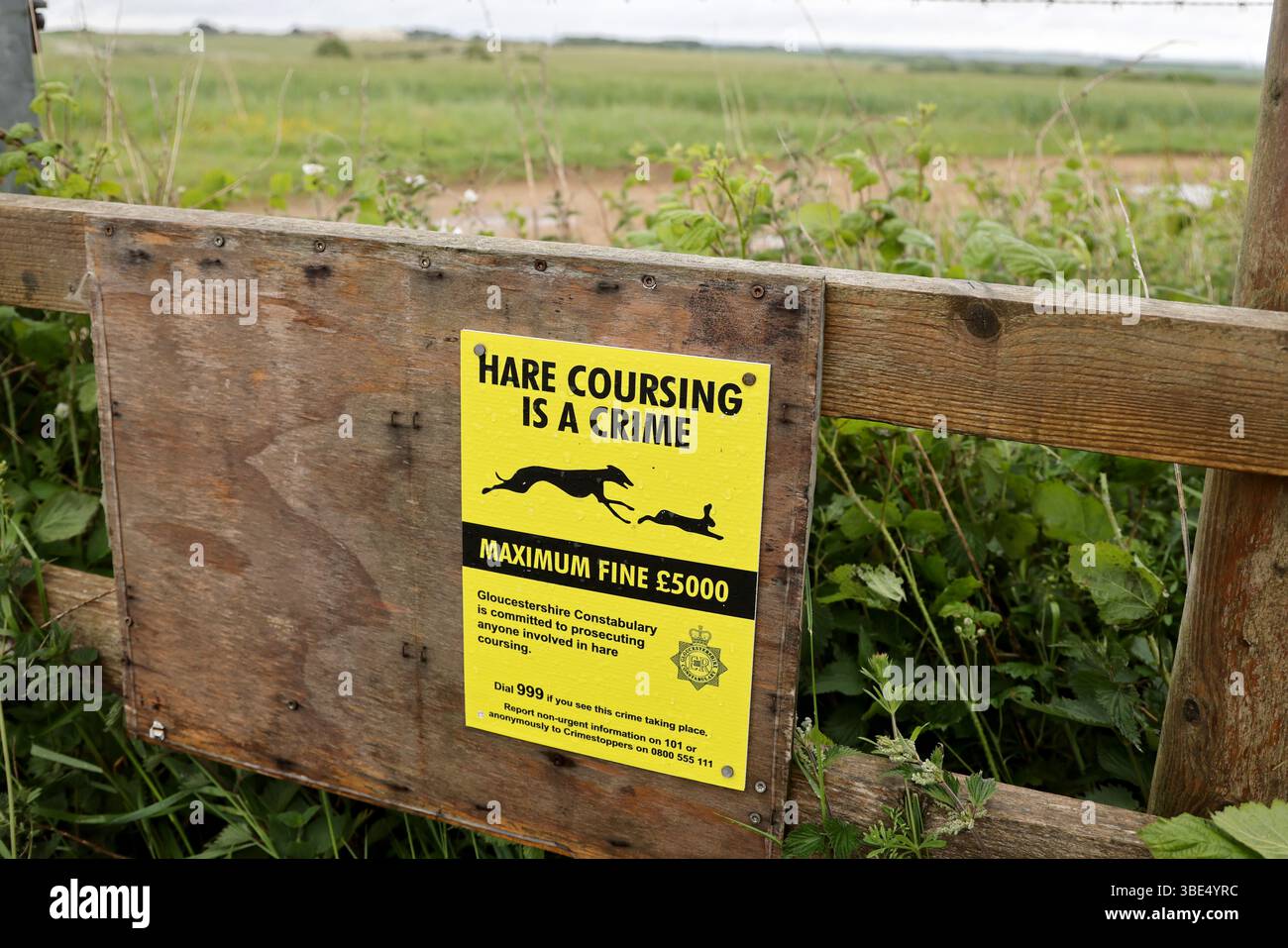 Hare Coursing Sign in the Cotswolds - 27 May 2025 Picture by Antony ...