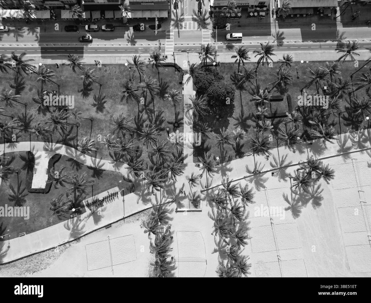 Miami downtown palm tree area of Miami south beach with street road in ...