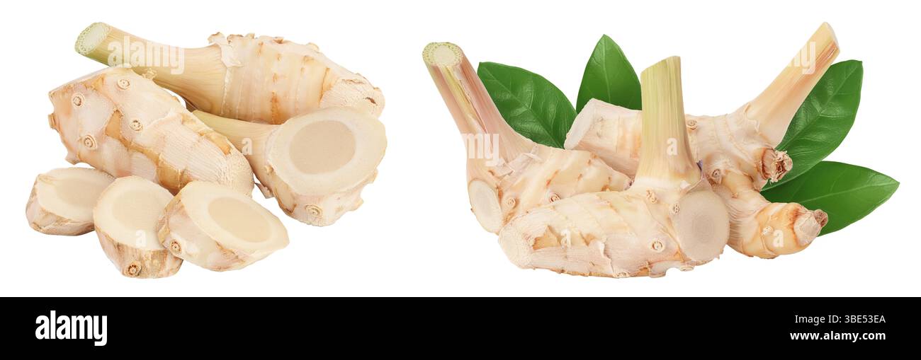 Fresh galangal root with slices isolated on white background with full ...