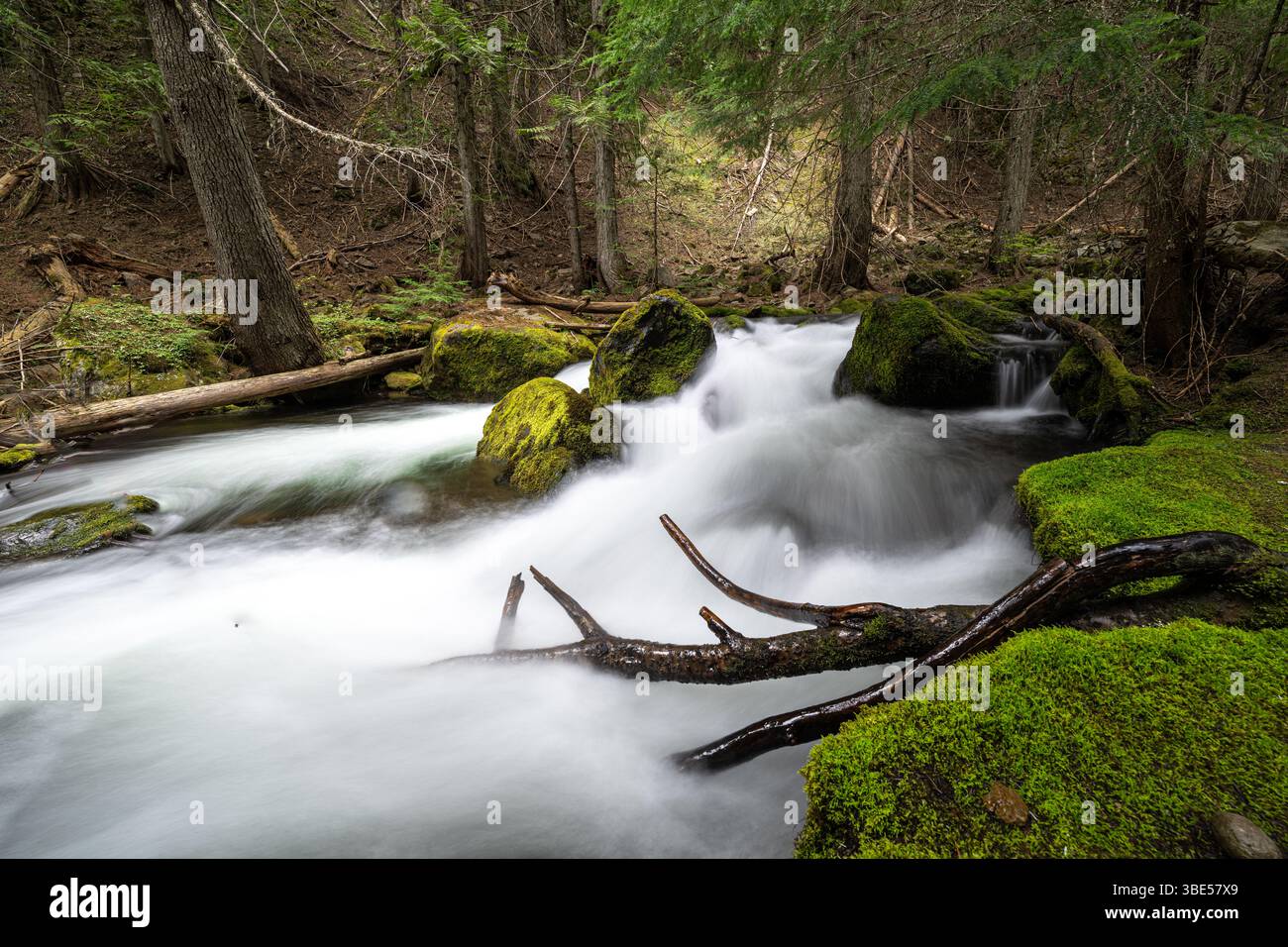 Cold Spring Creek along the Trail to the Tamanawas Falls in Oregon ...