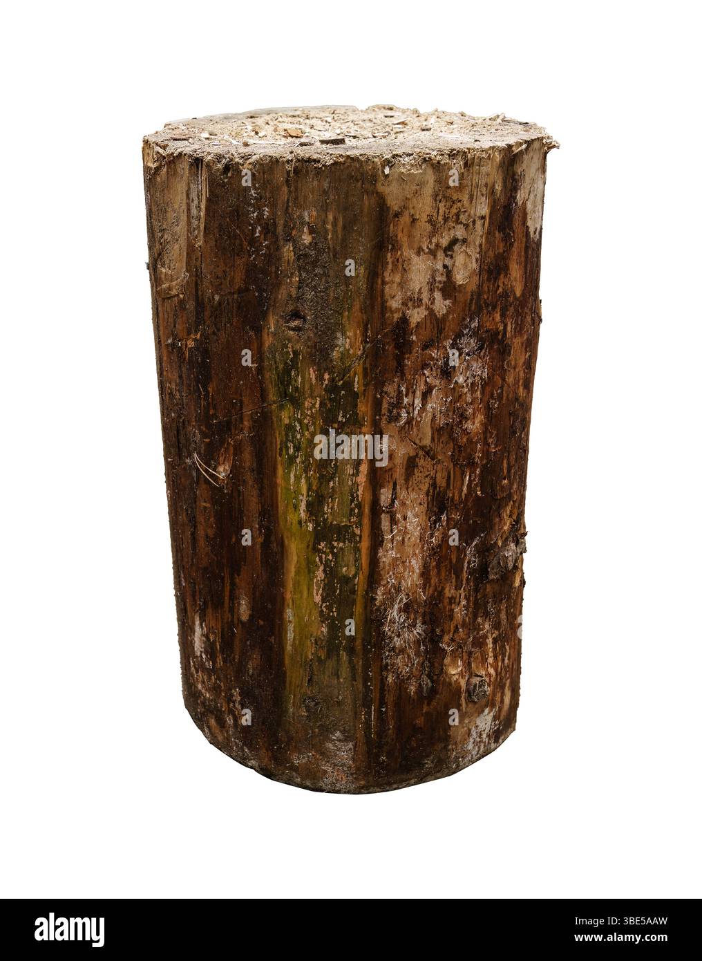 Wooden chopping block ,used as a platform for splitting firewood ...