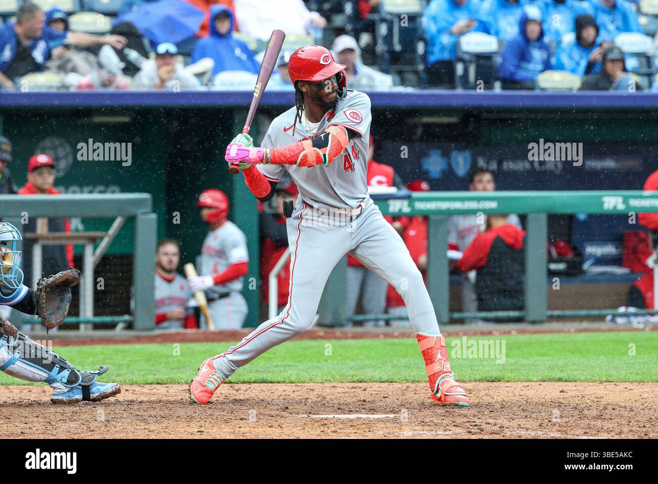 Elly de la cruz hi-res stock photography and images - Alamy