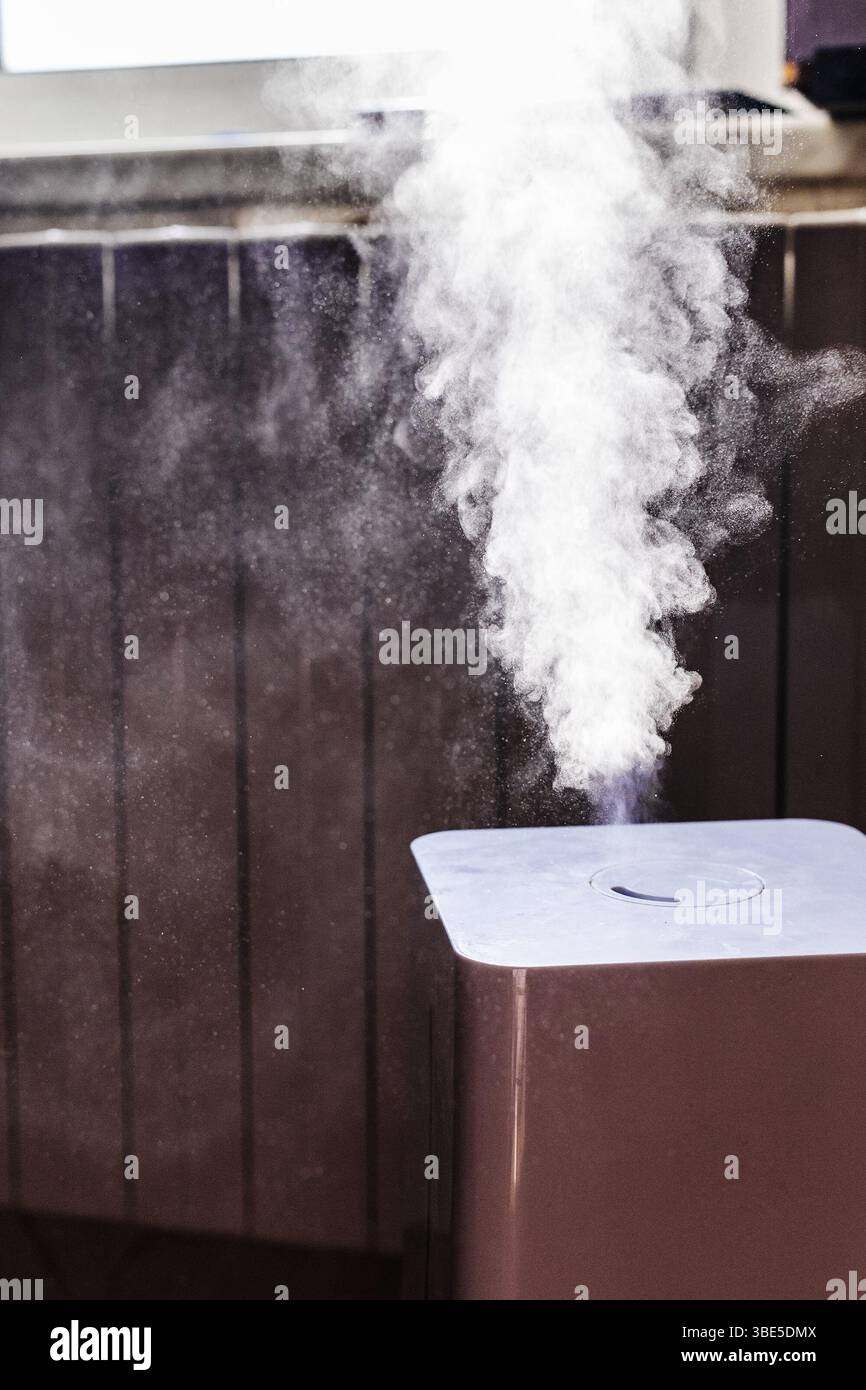 water vapor coming out of household humidifier in living room next to ...