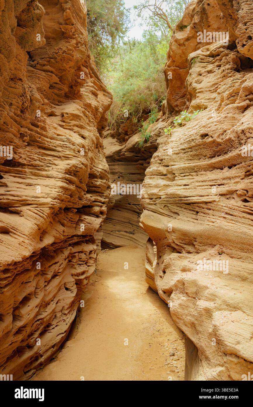 Sandstone Canyon near Tamri, Morocco Stock Photo - Alamy