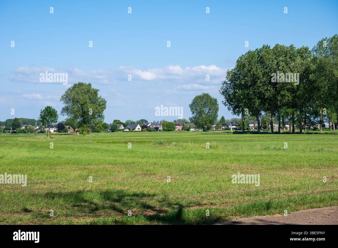Green meadows and trees at the Flemish countryside in Beveren, East ...