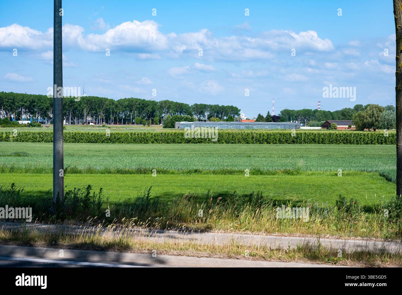 Agriculture fields with glasshouses and organic plantation for the food ...