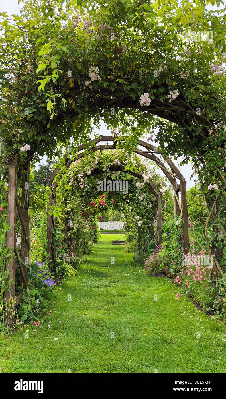 Secret garden blue flowers hi-res stock photography and images - Alamy