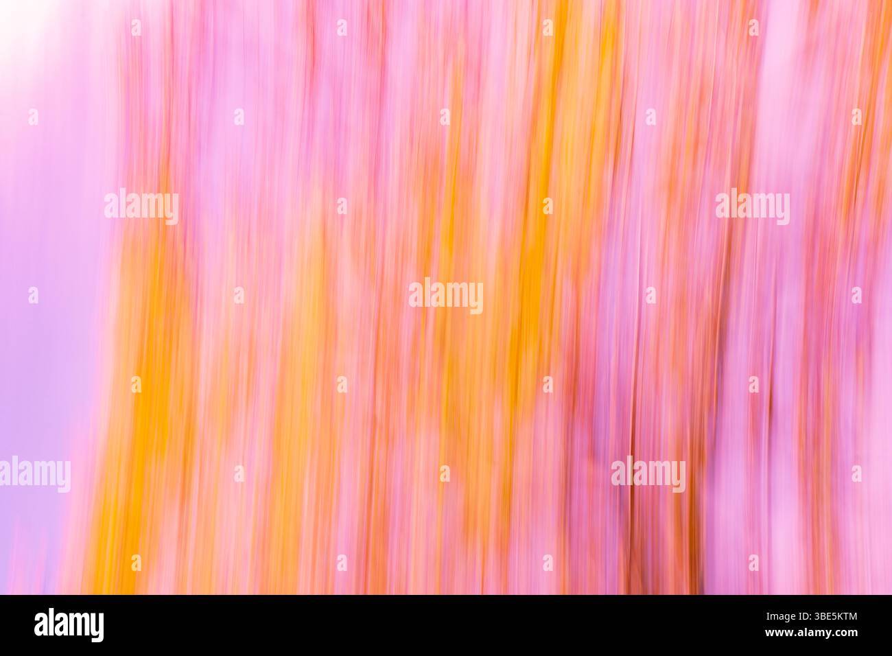 An abstract image featuring vibrant pink and orange vertical streaks ...