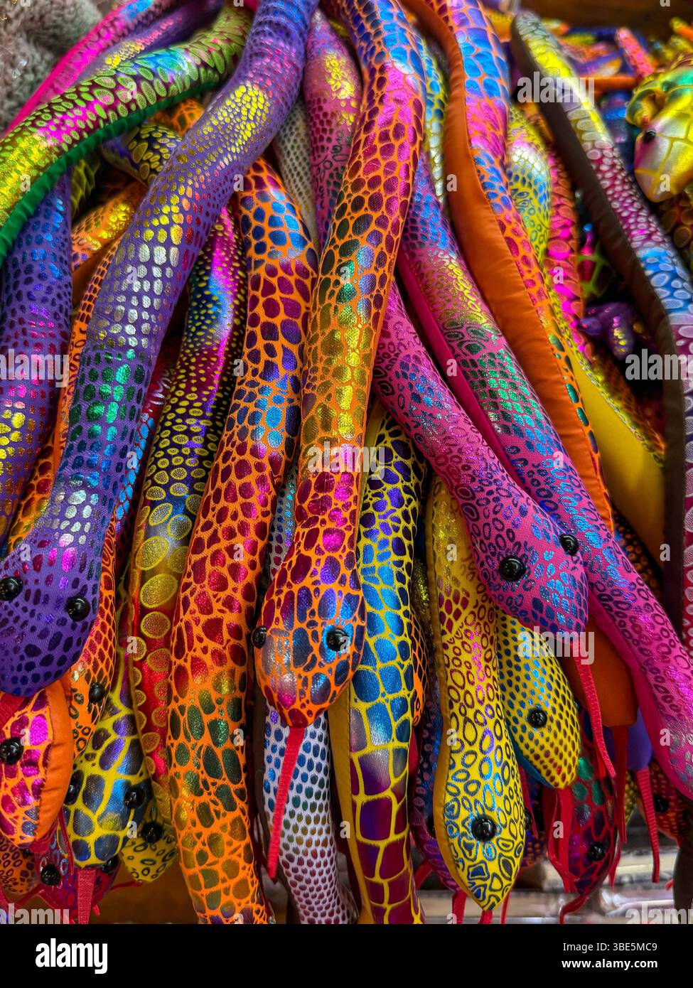 Snakes unique features hi-res stock photography and images - Alamy