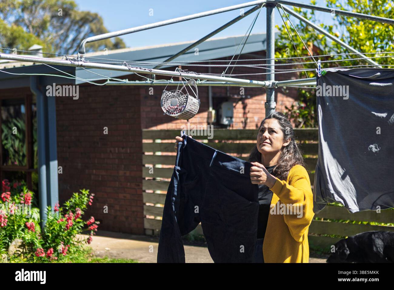 A woman hangs clothes on a rotary clothesline in a sunny Australian ...