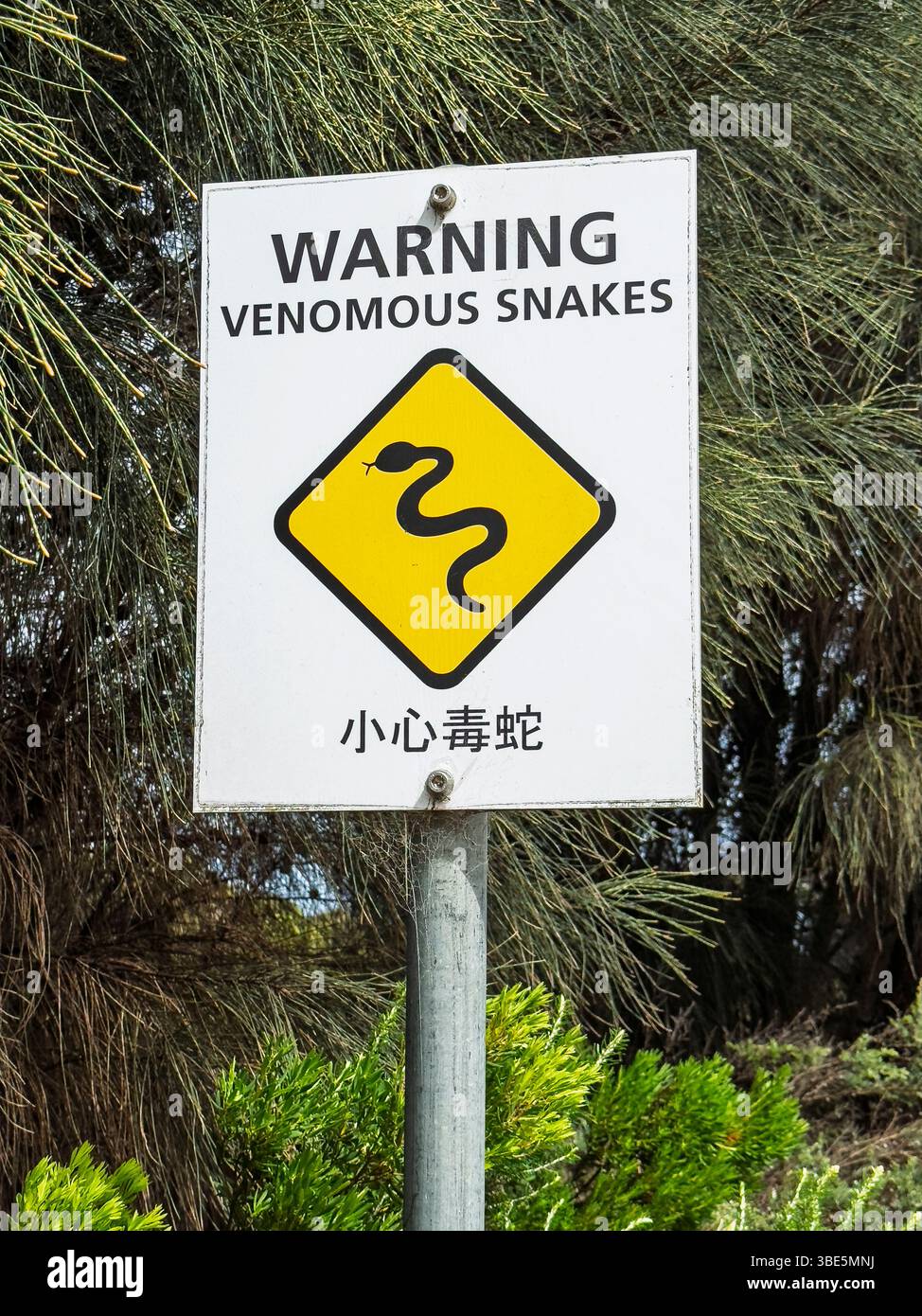 A warning sign indicating the presence of venomous snakes in a wooded ...