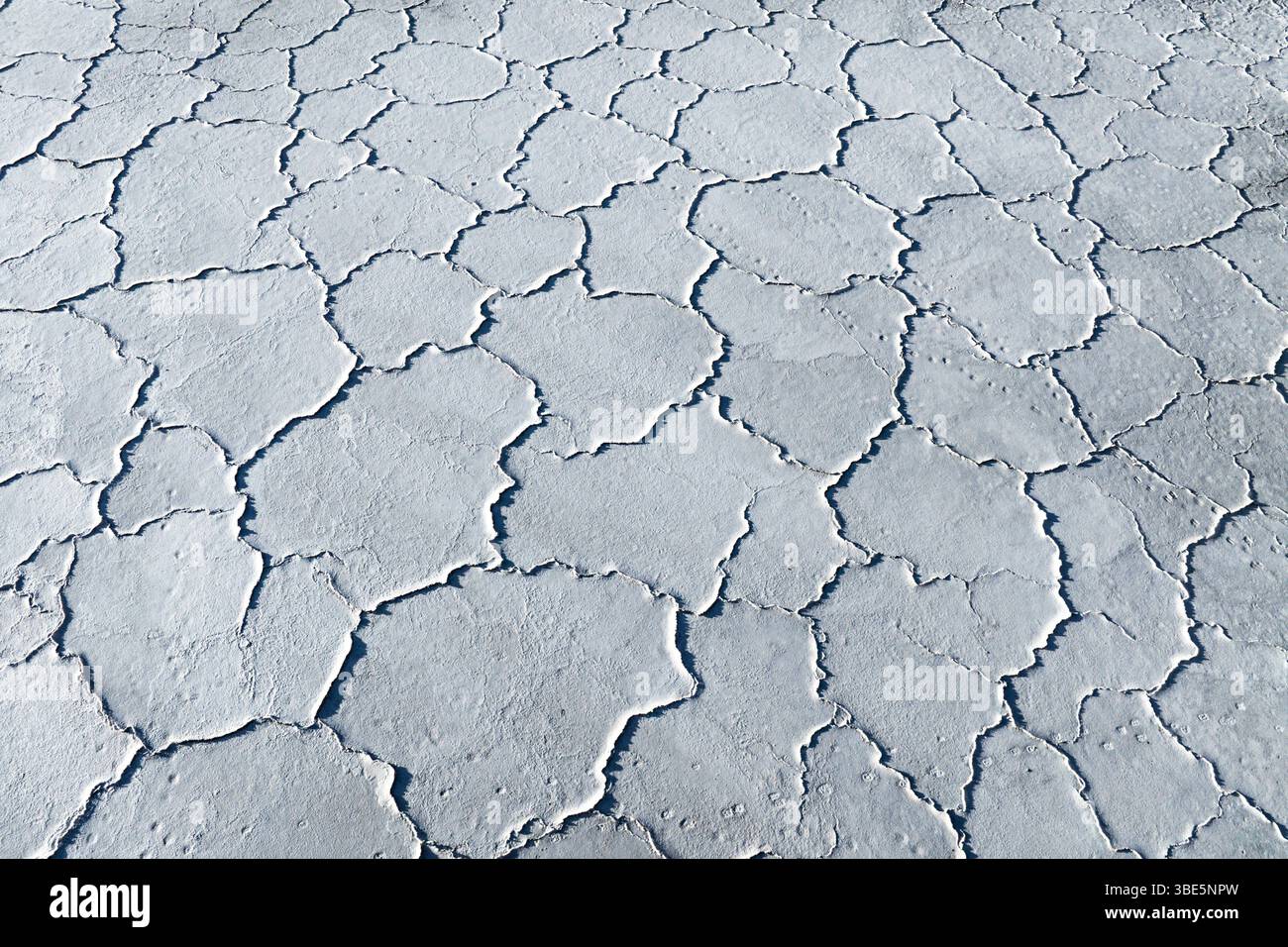 Aerial view of a cracked, parched mud flat with white saline crusts ...