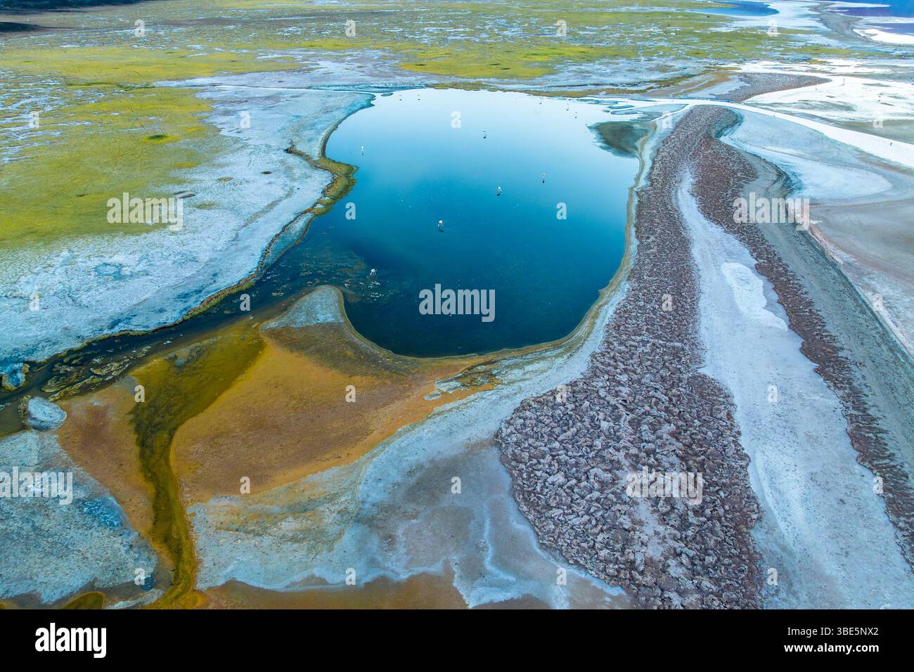 From above, the Carachipampa Lagoon in Catamarca, Argentina, reveals ...