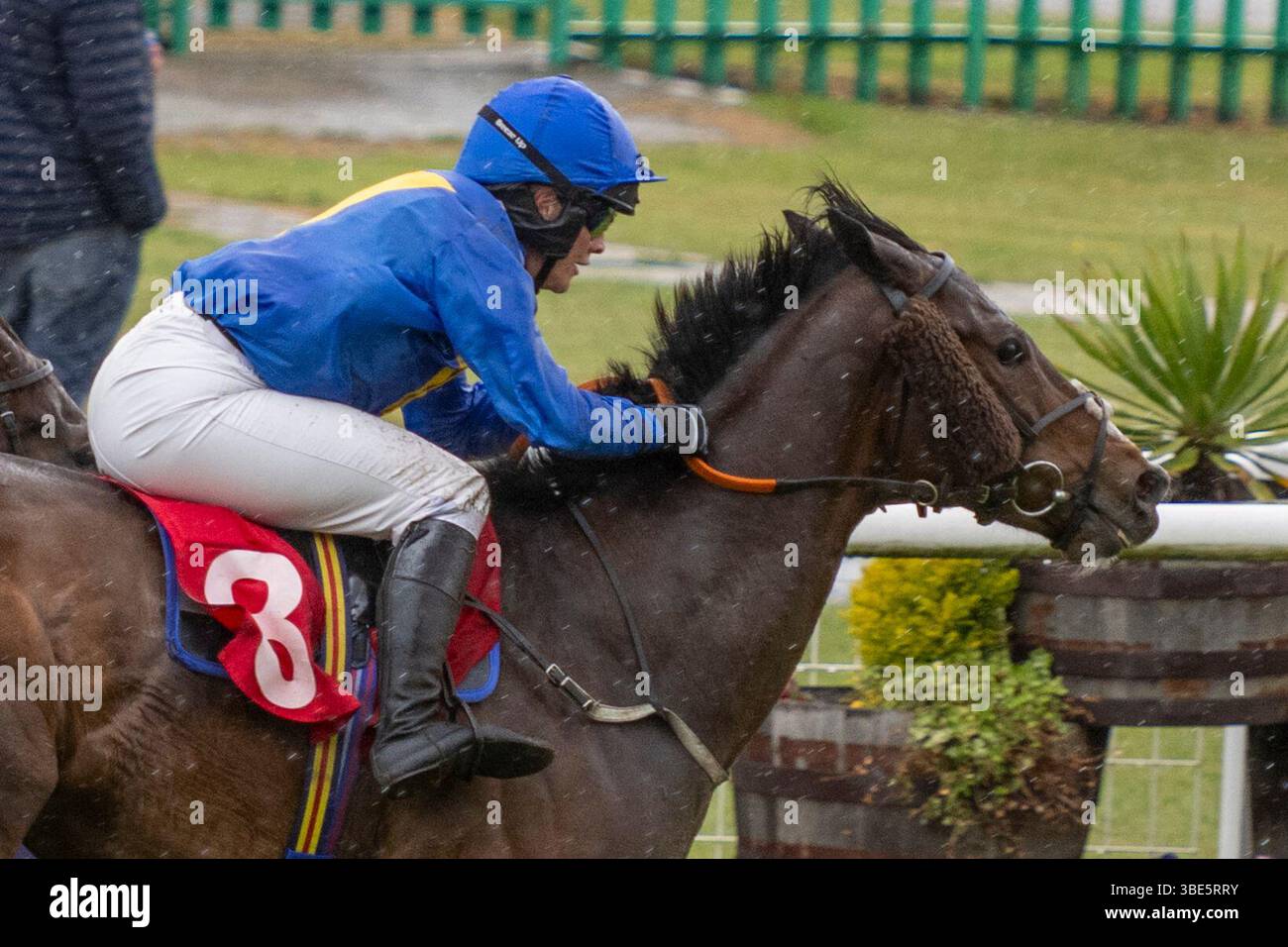 Miss yorkshire tv hi-res stock photography and images - Alamy