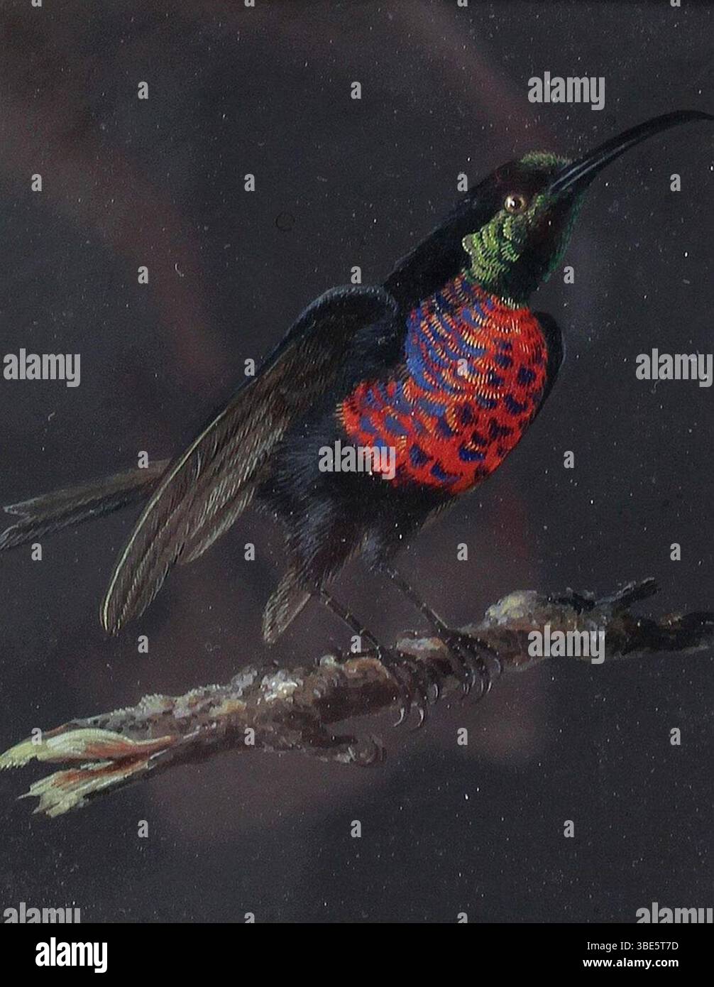 Johann Daniel Wilhelm Hartmann - f4147e89b2 Stock Photo - Alamy