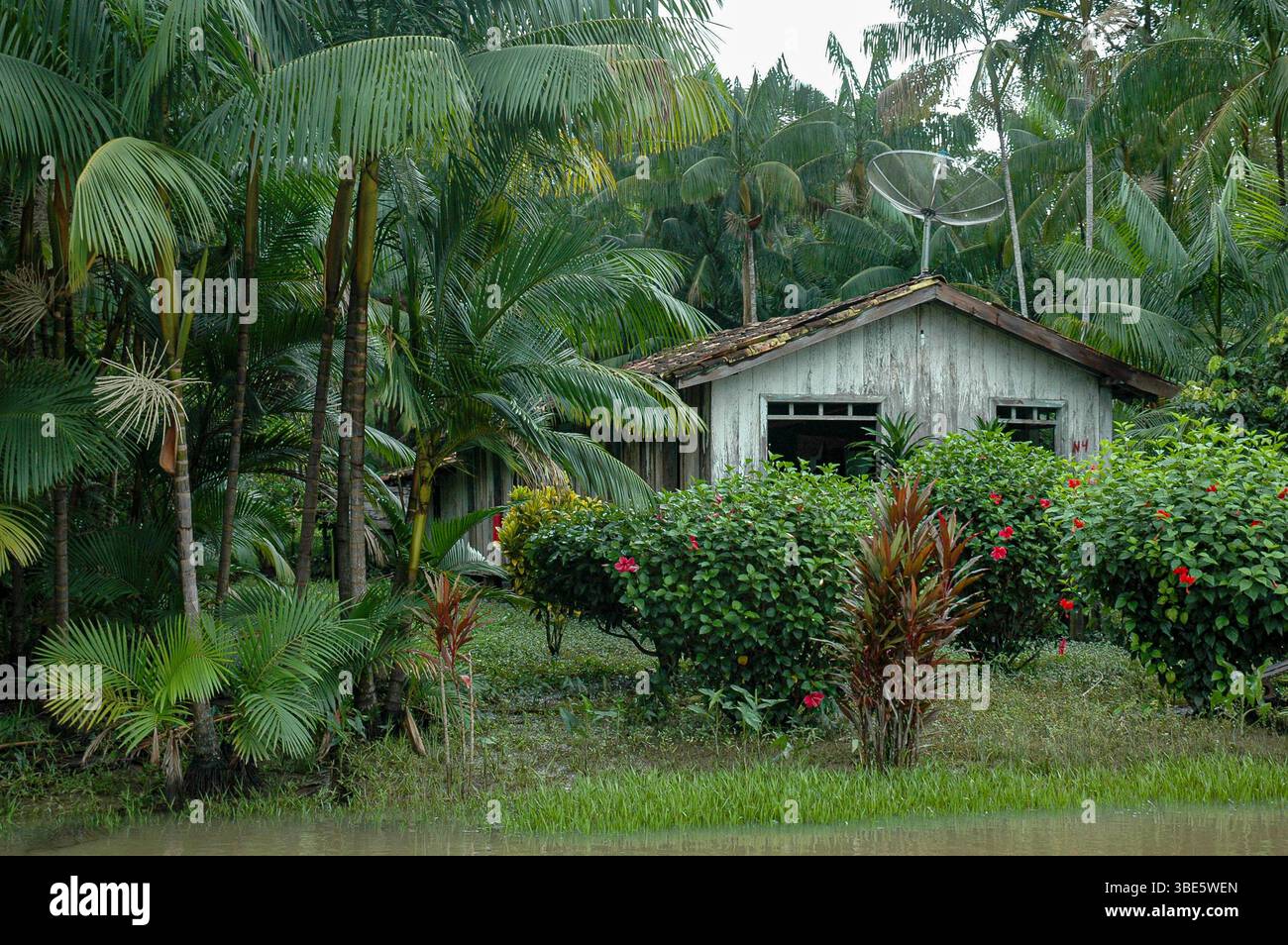 A wooden riverine house stands on the banks of Pará State waterway ...