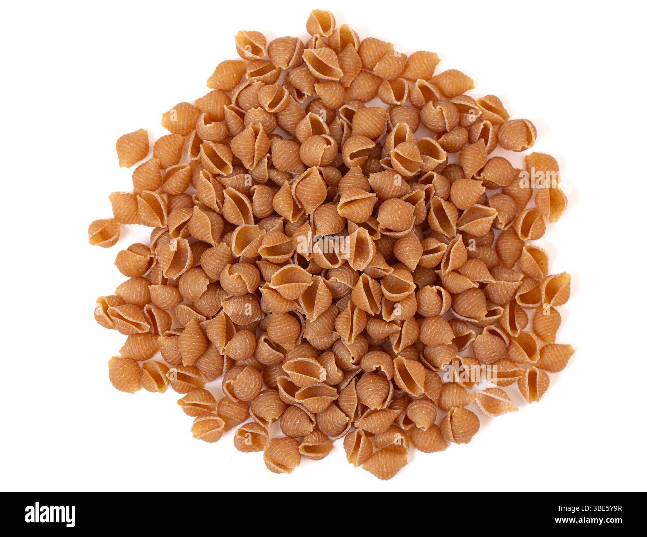 Whole Wheat Shell Pasta on a White Background Stock Photo - Alamy