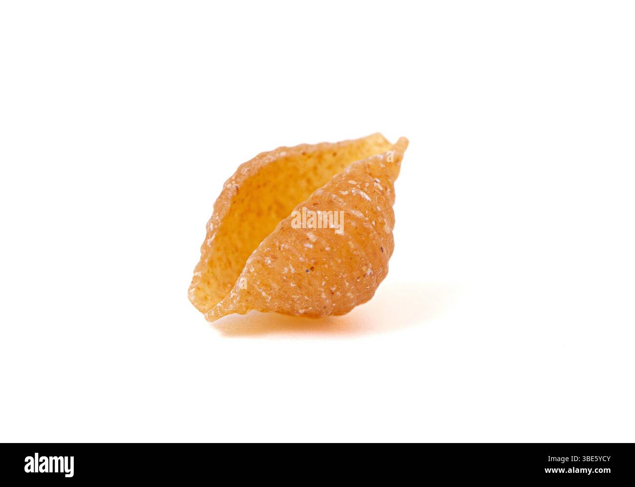 Whole Wheat Shell Pasta on a White Background Stock Photo - Alamy