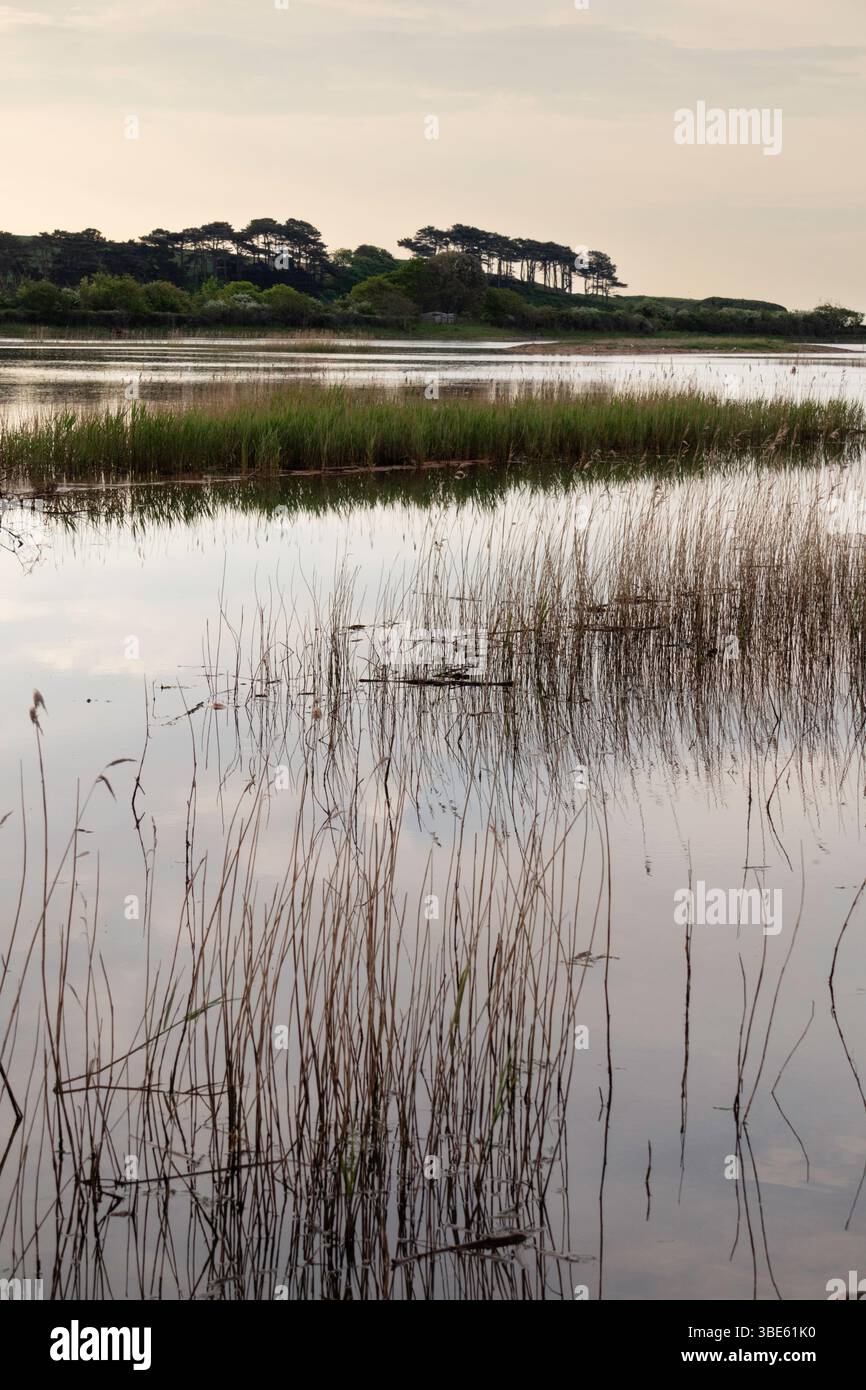 The Otter Estuary National Nature Reserve, Budleigh Salterton, Devon ...