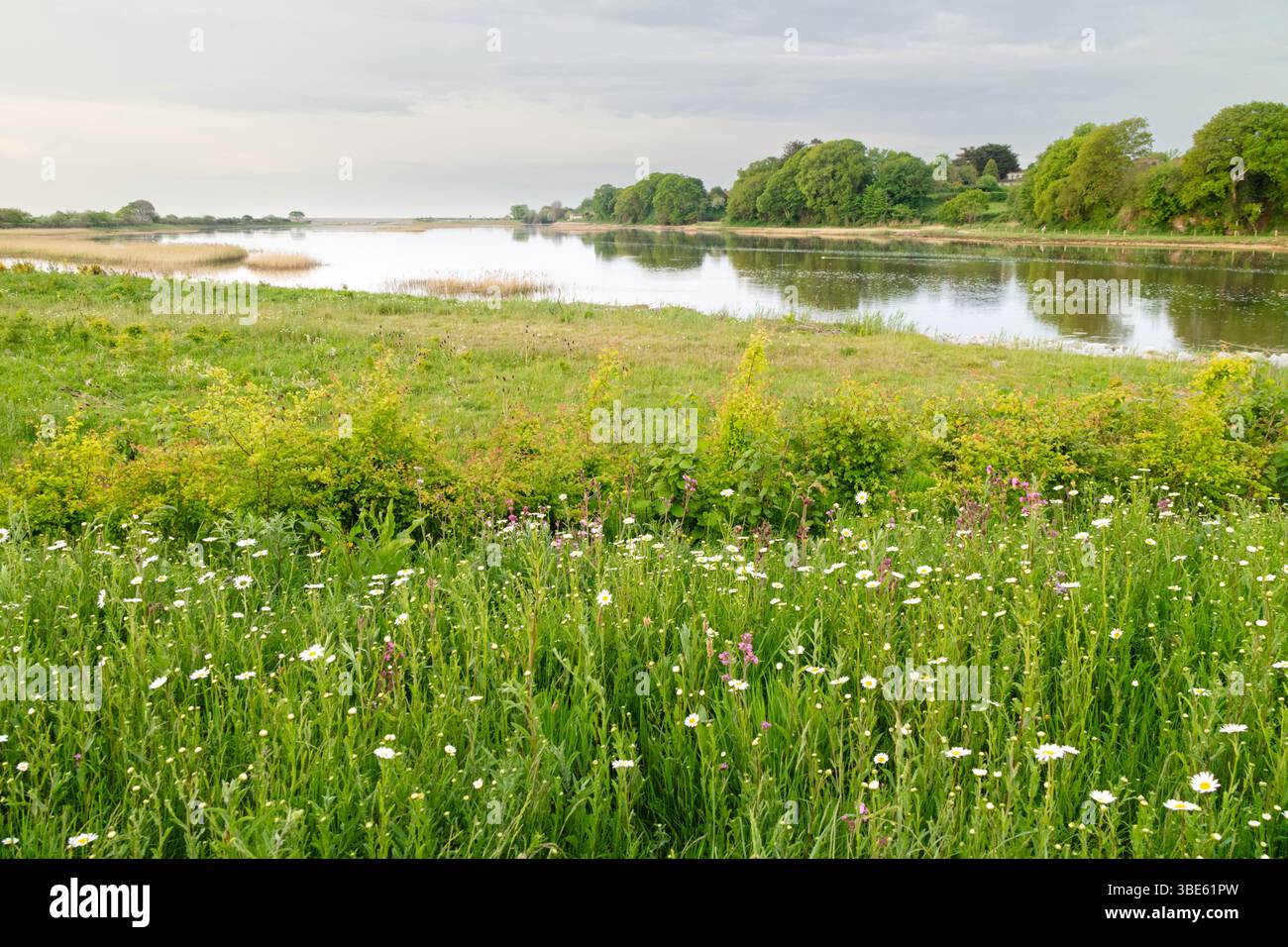 The Otter Estuary National Nature Reserve, Budleigh Salterton, Devon ...