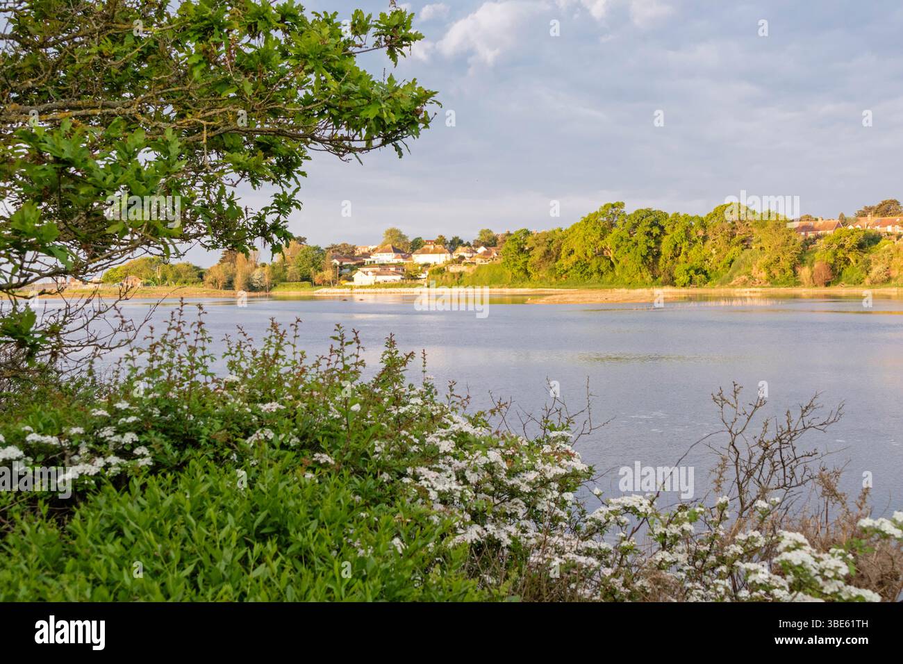 The Otter Estuary National Nature Reserve, Budleigh Salterton, Devon ...