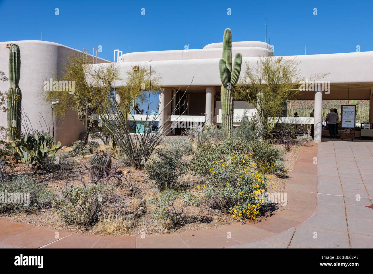 Variety of cactus types at the entrance to the Red Hills Visitor Center ...