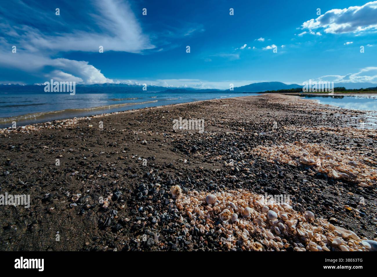 Lake shore small shells summer hi-res stock photography and images - Alamy