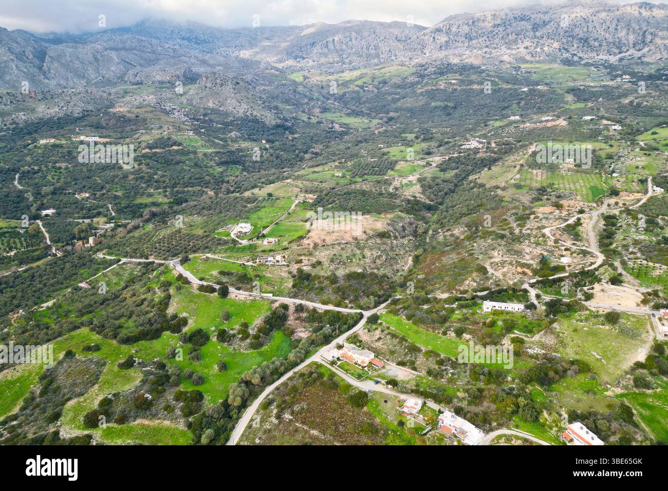 Aerial perspective lush olive tree hi-res stock photography and images ...