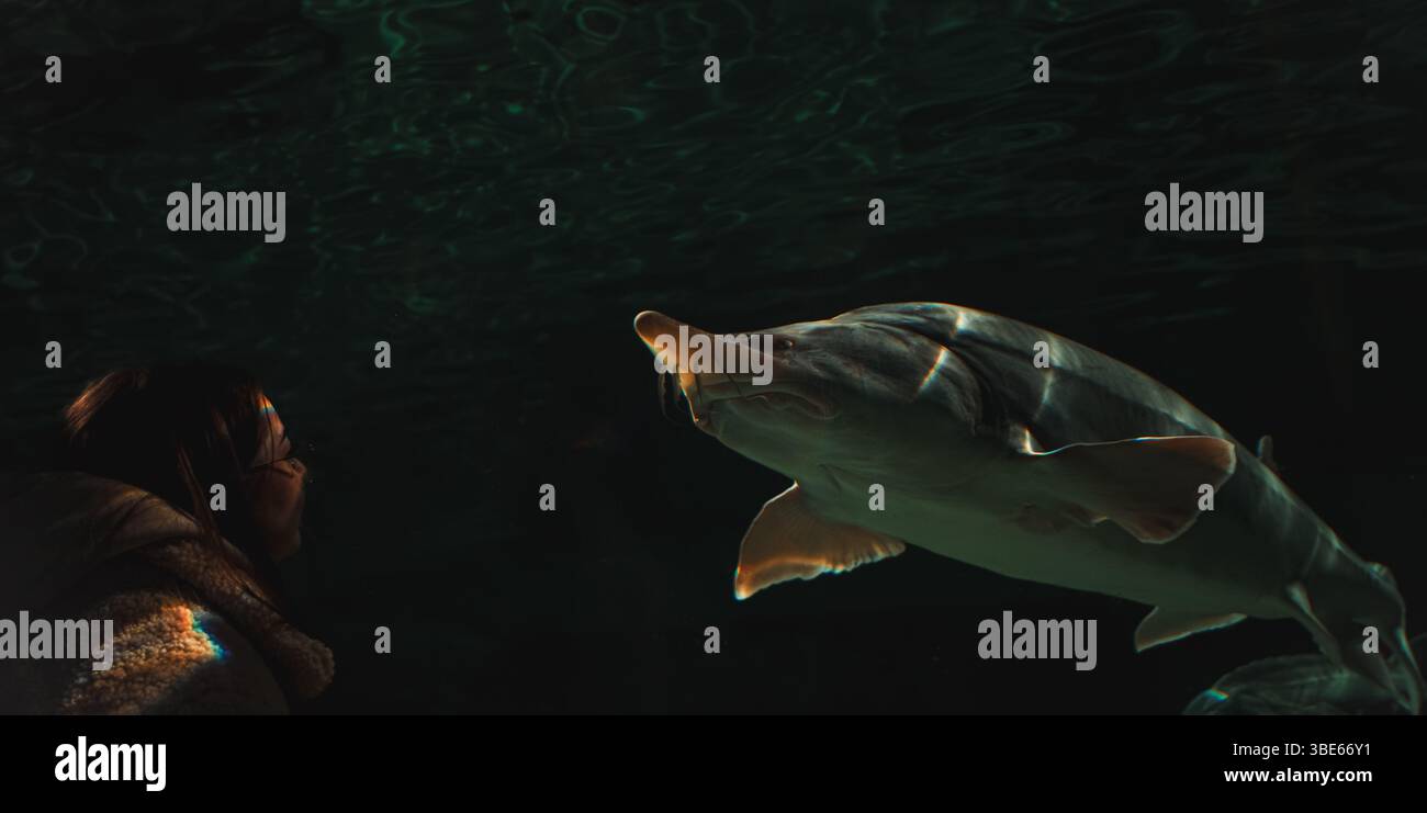 Big vs small nature hi-res stock photography and images - Alamy