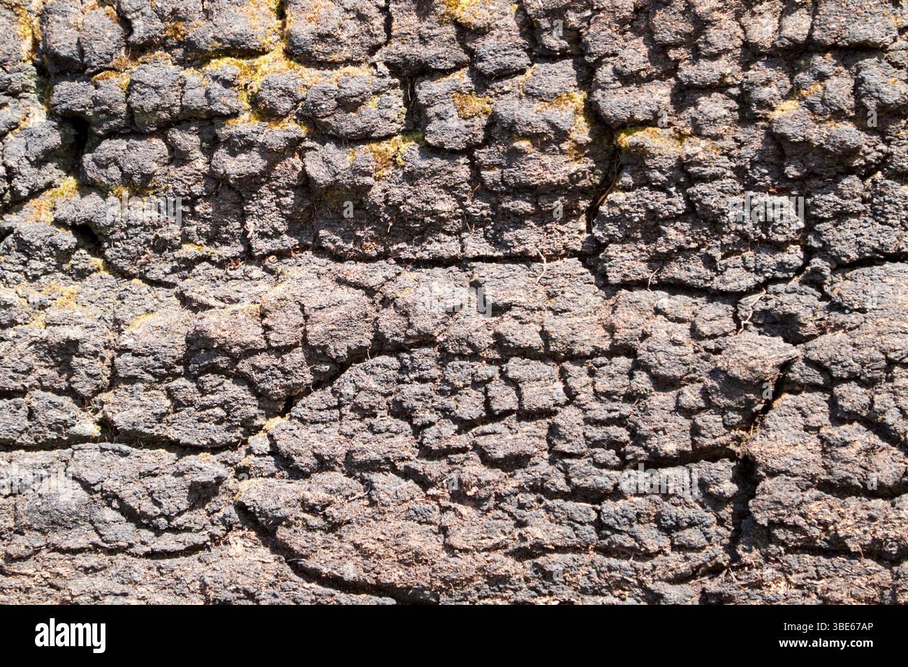 layers of peat bog cross section county mayo republic of ireland Stock ...
