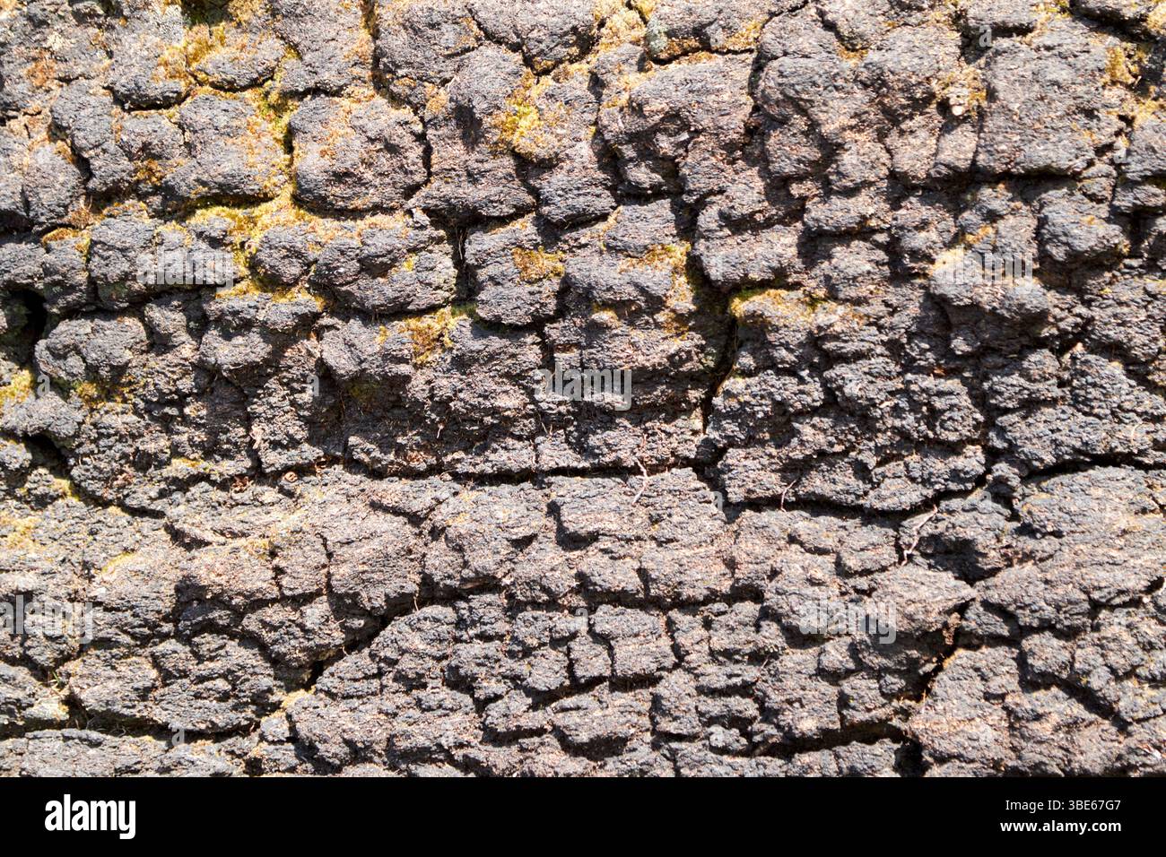 Cross section strata soil hi-res stock photography and images - Alamy