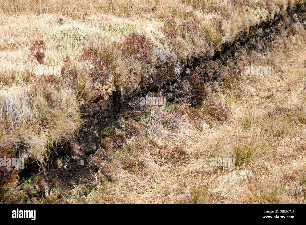 layers of peat bog cross section wild nephin national park county mayo ...