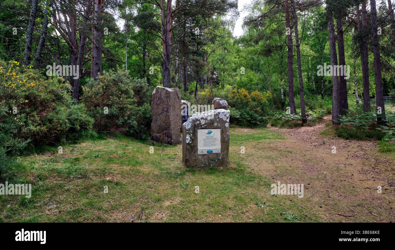Standing Stones Quarrelwood, Elgin Stock Photo - Alamy