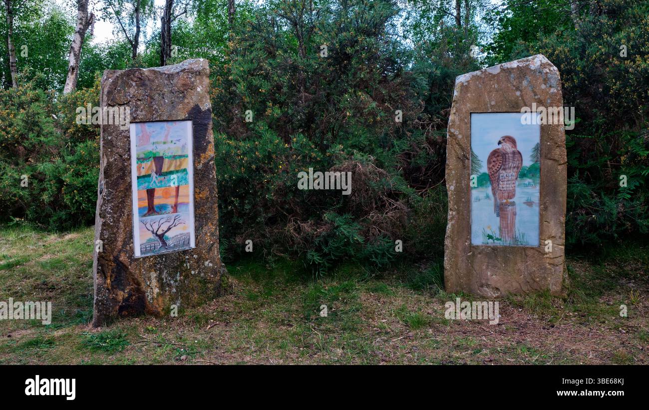 Standing Stones Quarrelwood, Elgin Stock Photo - Alamy