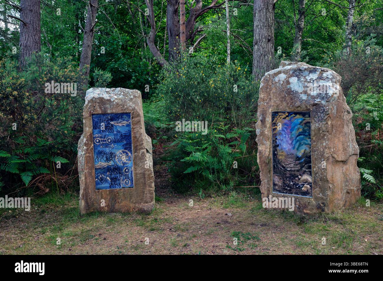 Stones woodland hi-res stock photography and images - Alamy