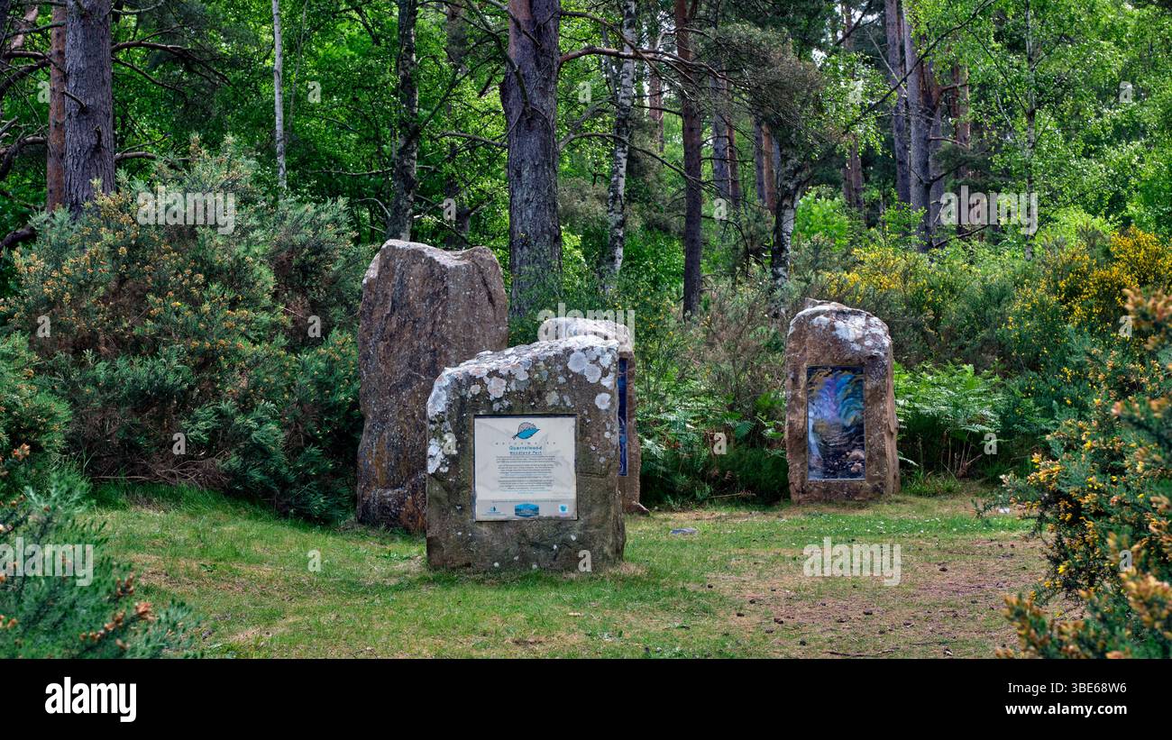 Standing Stones Quarrelwood, Elgin Stock Photo - Alamy